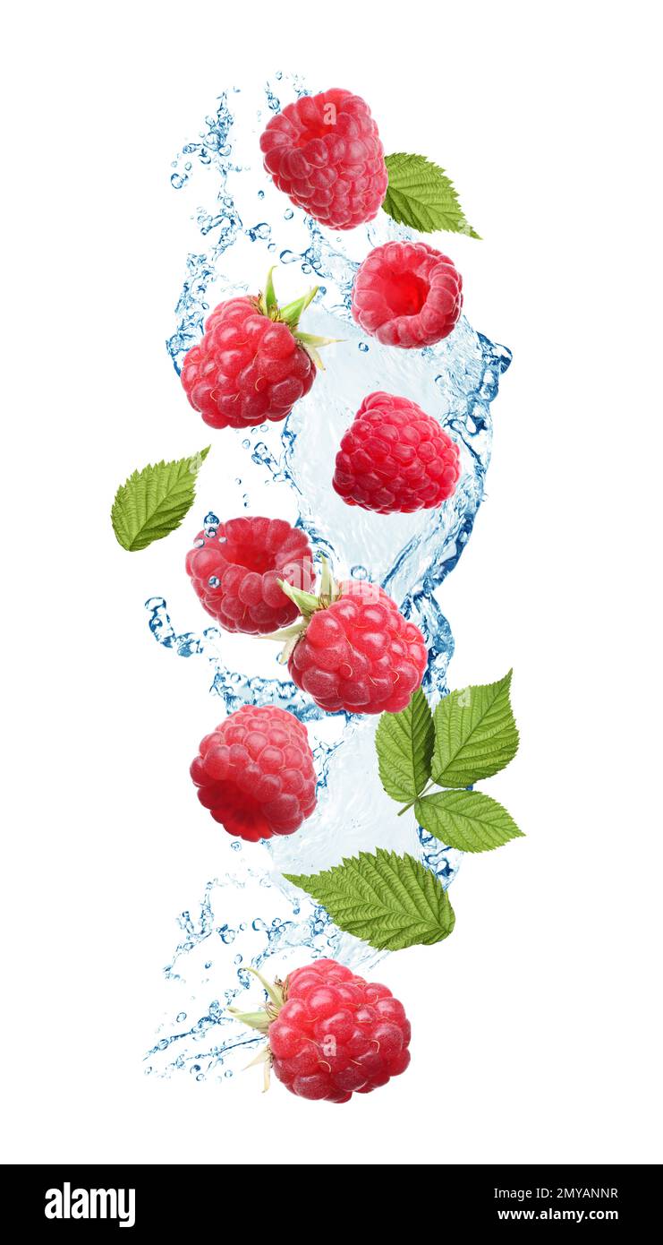 Fresh ripe raspberries with green leaves and water splash on white ...
