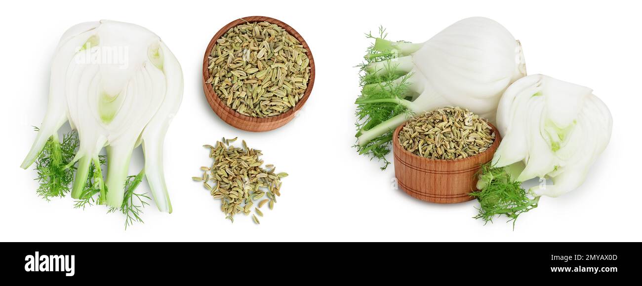 fresh fennel bulb with seed isolated on white background with full ...