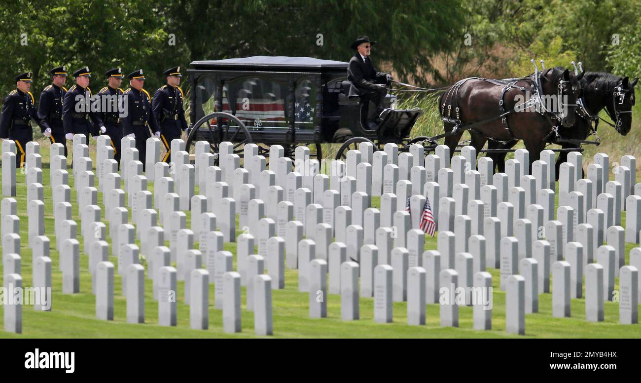 A horse drawn hearse carries the flag draped coffin of slain Dallas ...
