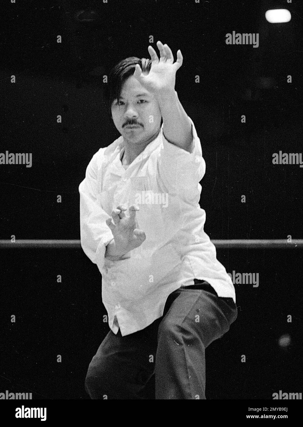 Anthony Lao gives a Kung Fu demonstration at the Martial Arts ...