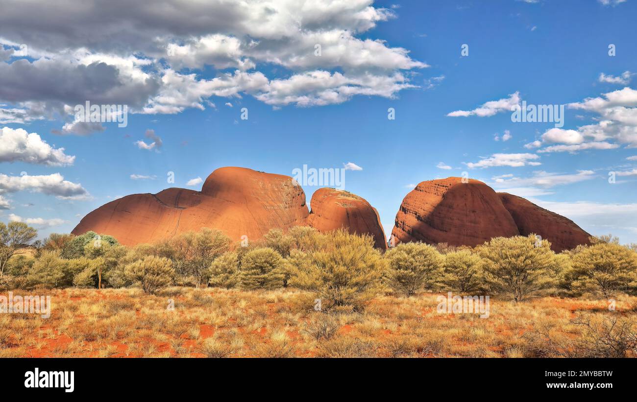 476 Overall view from the west of the domes that make up the walpa ...