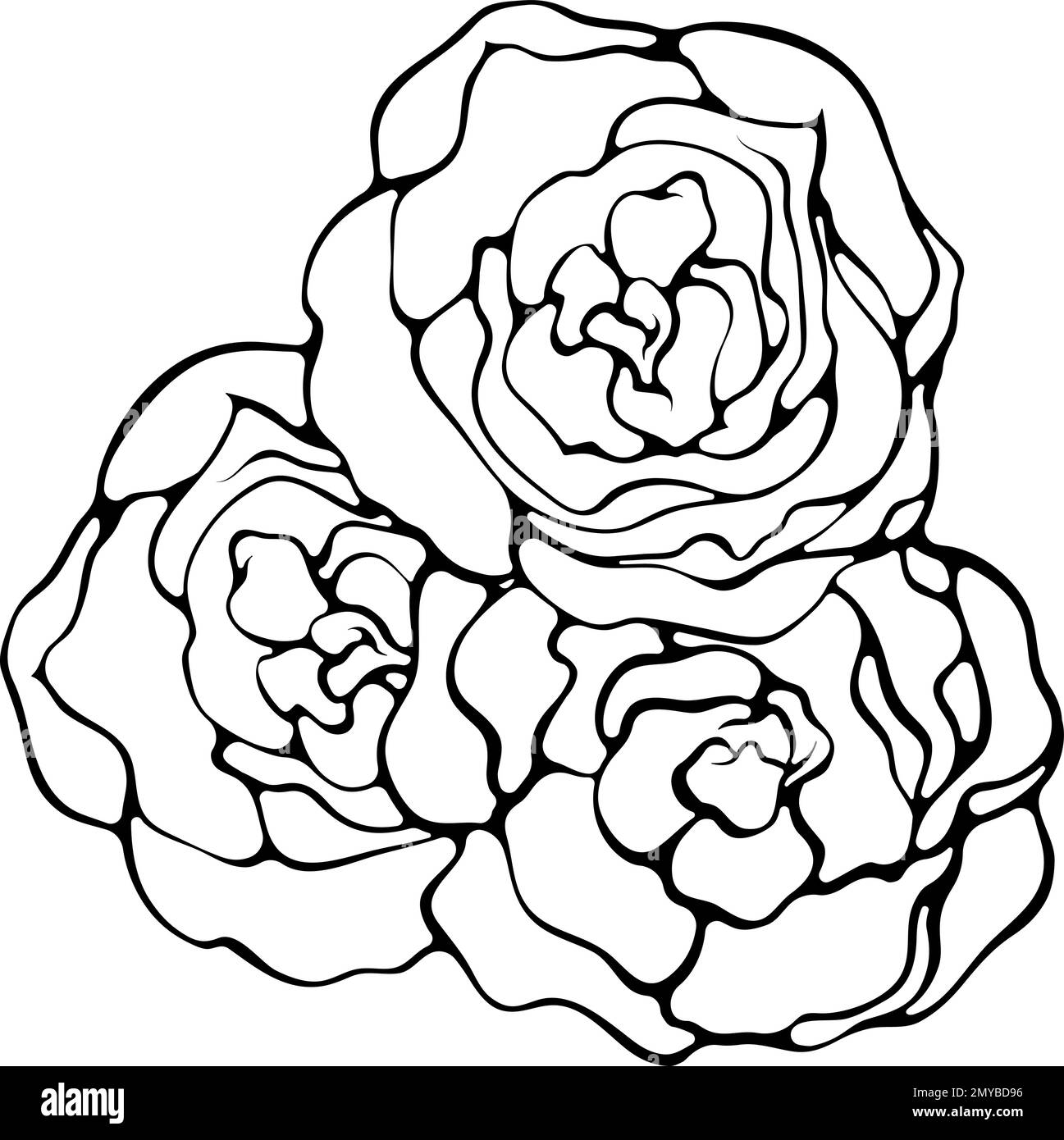 Three roses line art Stock Vector Image & Art - Alamy