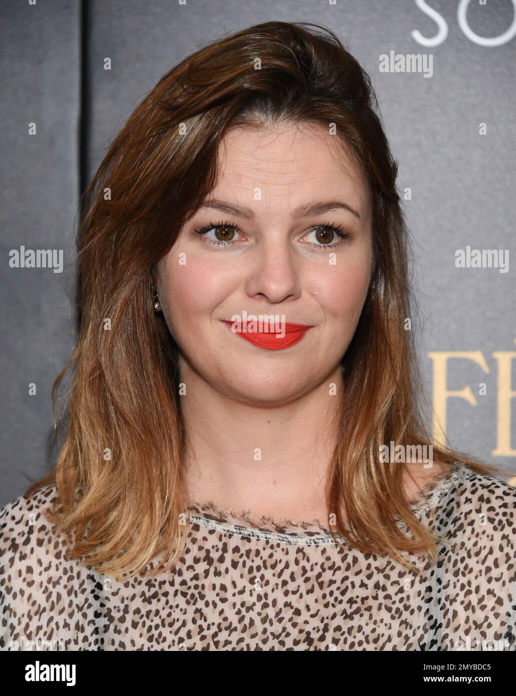 Actress Amber Tamblyn attends the premiere of Amazon Studio and ...