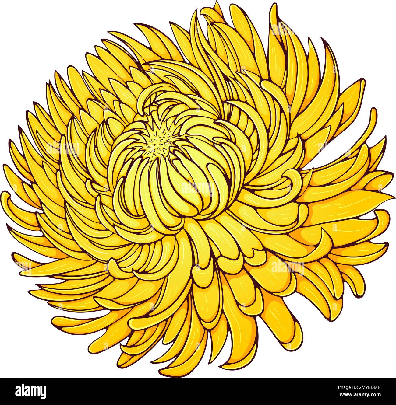Flower close up bloom close up Stock Vector Images - Alamy