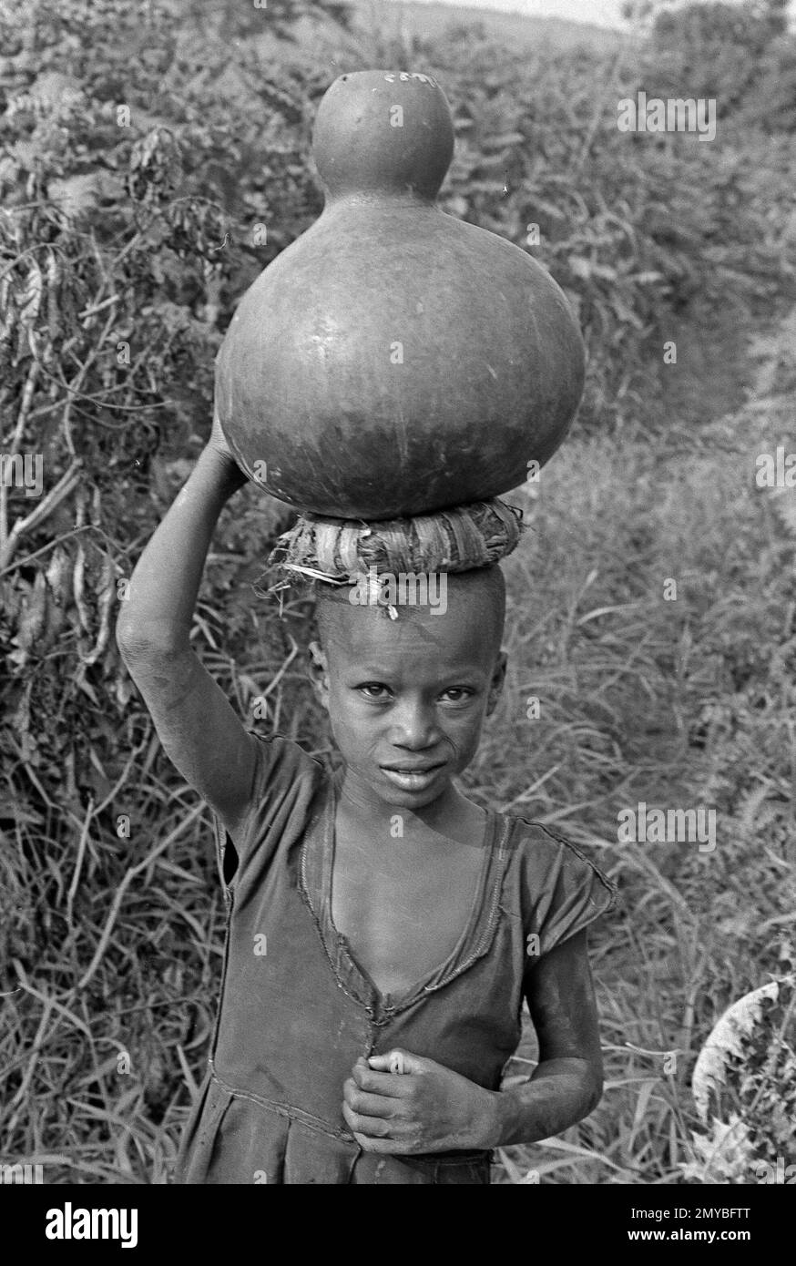 A child member of the Tutsi tribe of Rwanda, carries a gourd on his ...