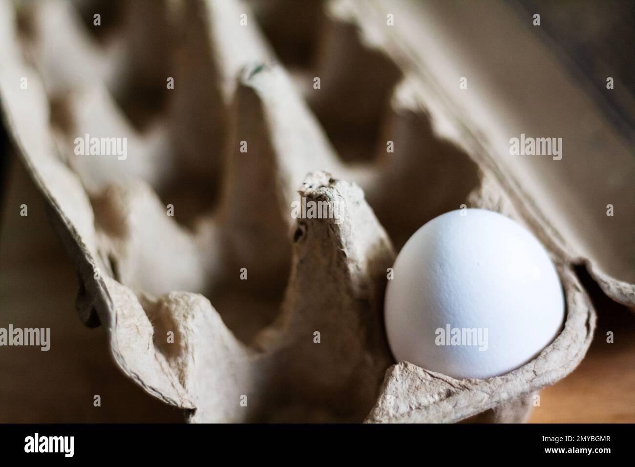 One last single egg in the egg carton Stock Photo - Alamy