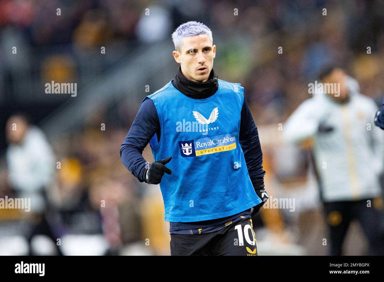 Podence wolves hi-res stock photography and images - Alamy