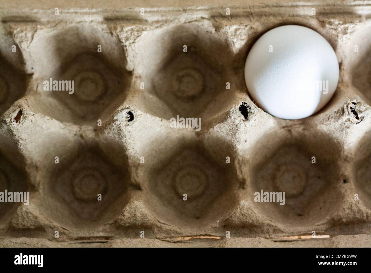 One last single egg in the egg carton Stock Photo - Alamy