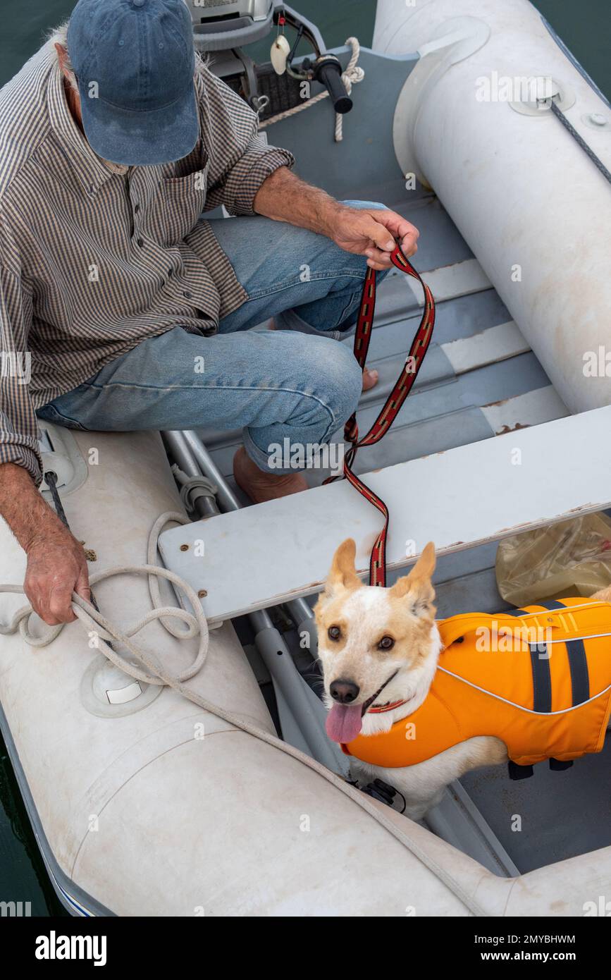 A senior male sits in a grey inflatable dinghy with an outboard engine ...