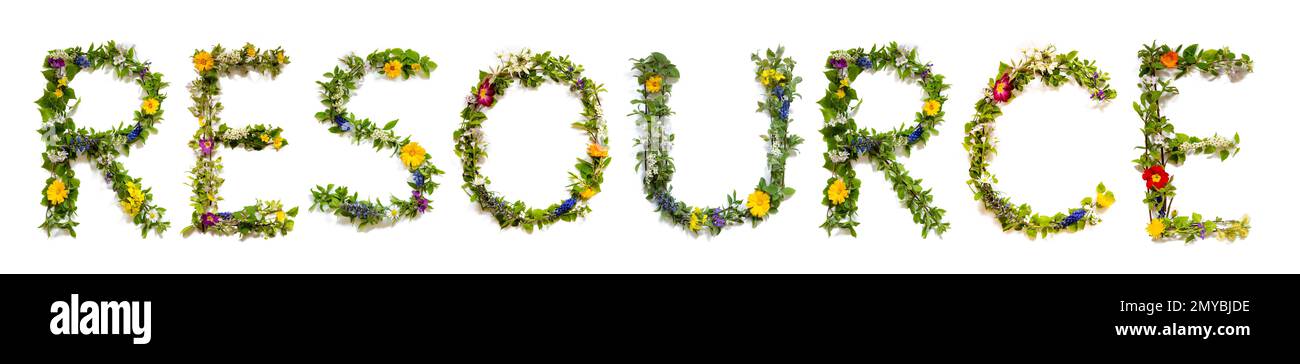 Blooming Flower Letters Building English Word Resource Stock Photo - Alamy