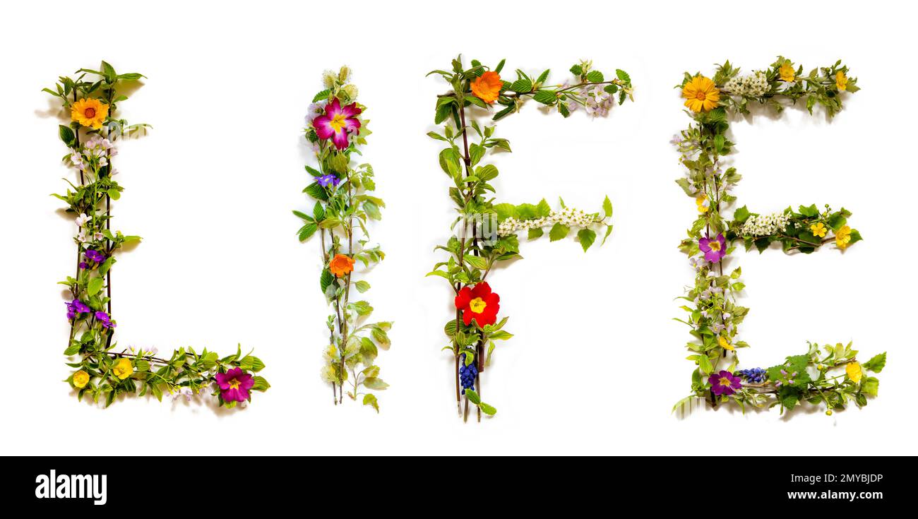 Blooming Flower Letters Building English Word Life Stock Photo - Alamy