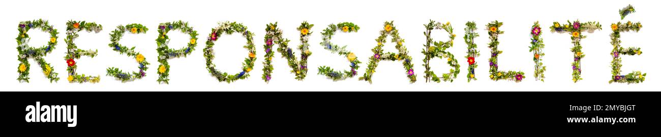 Blooming Flower Letters Building French Word Responsabilite Means ...