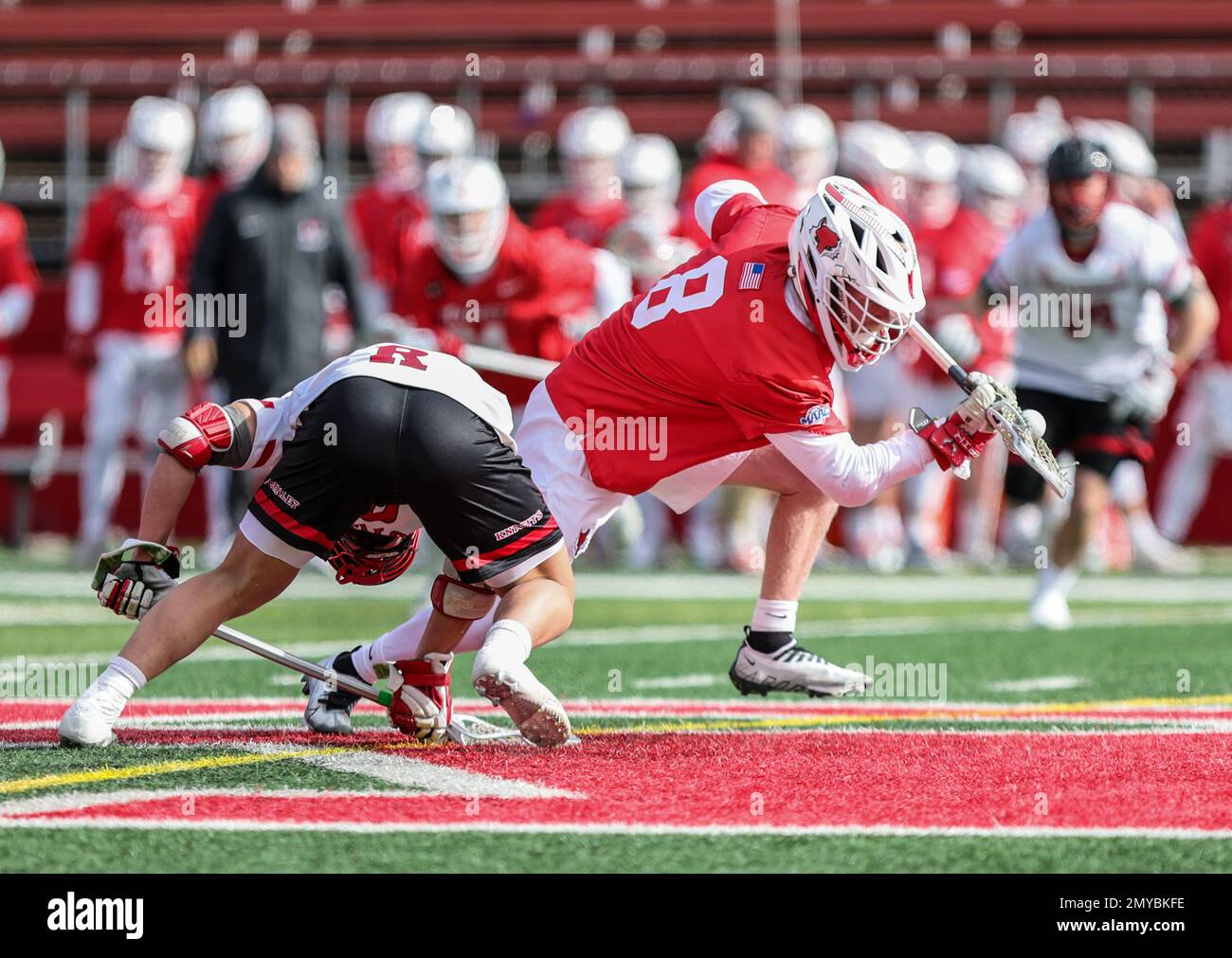 February 04, 2023: Marist fo Dylan Bedell (8) gains control of the ball ...