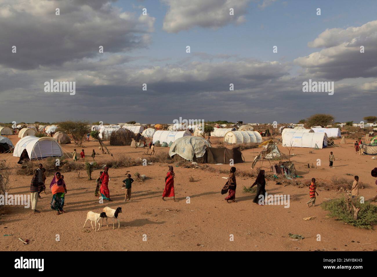 FILE - In this Saturday July 9, 2011 file photo, Somali refugees walk ...