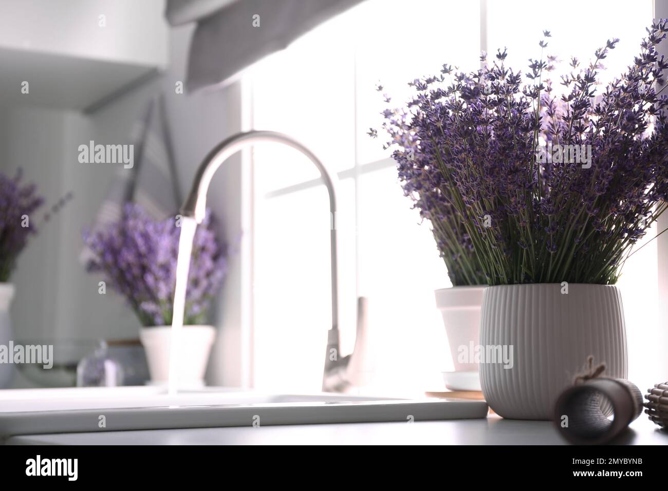 Beautiful lavender flowers on countertop near sink in kitchen. Space ...
