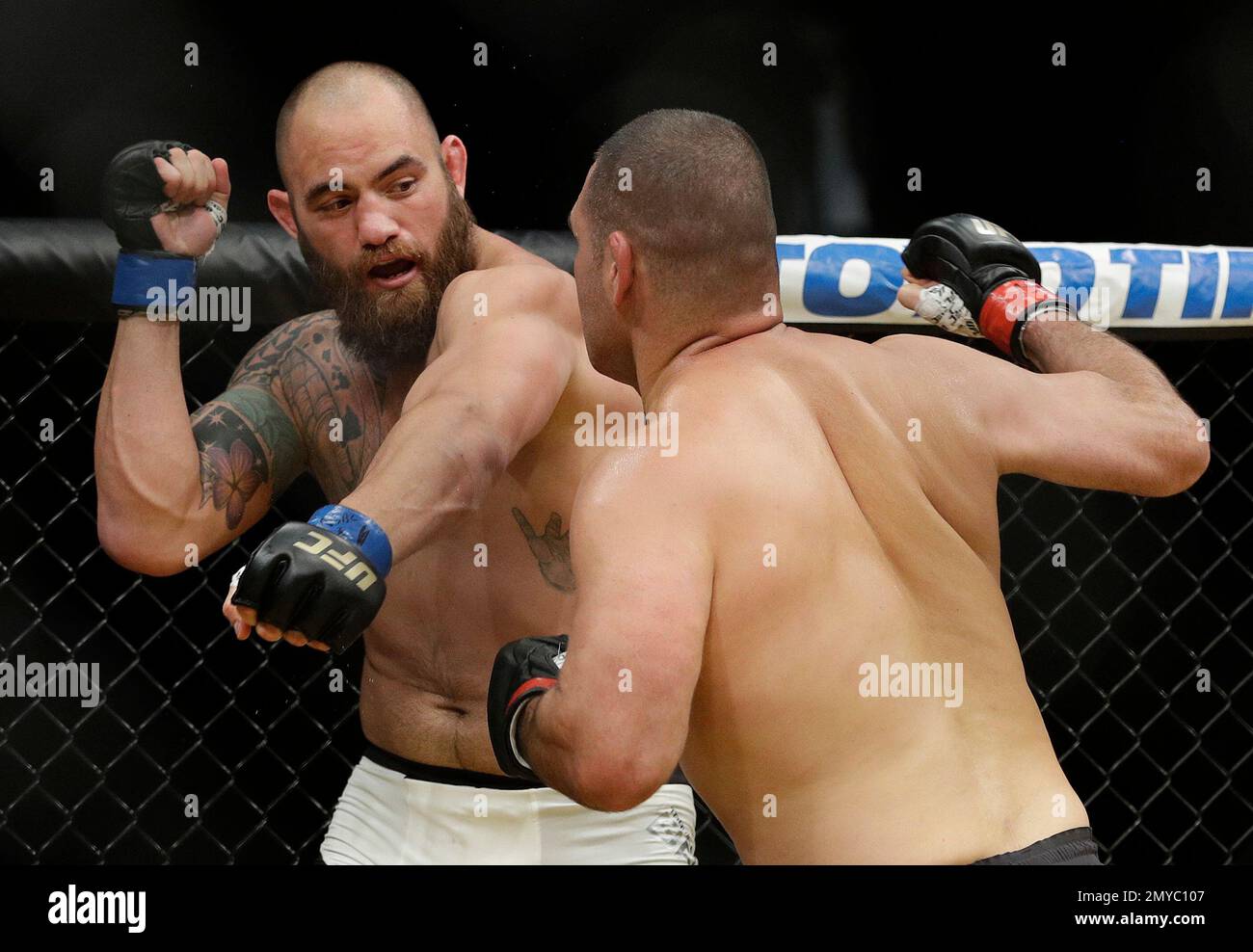 Cain Velasquez Fighting