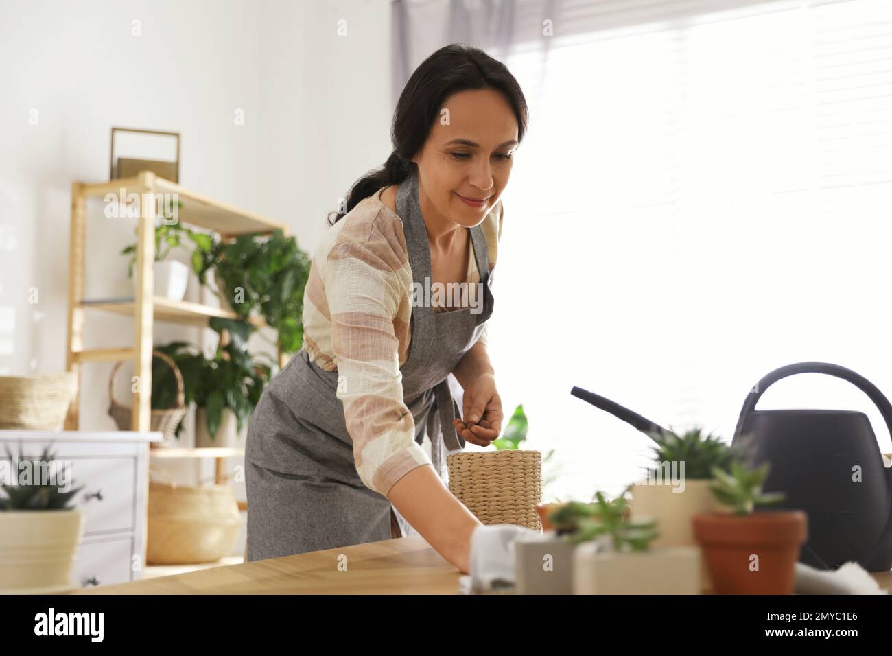 Mature woman potting plant at home. Engaging hobby Stock Photo - Alamy