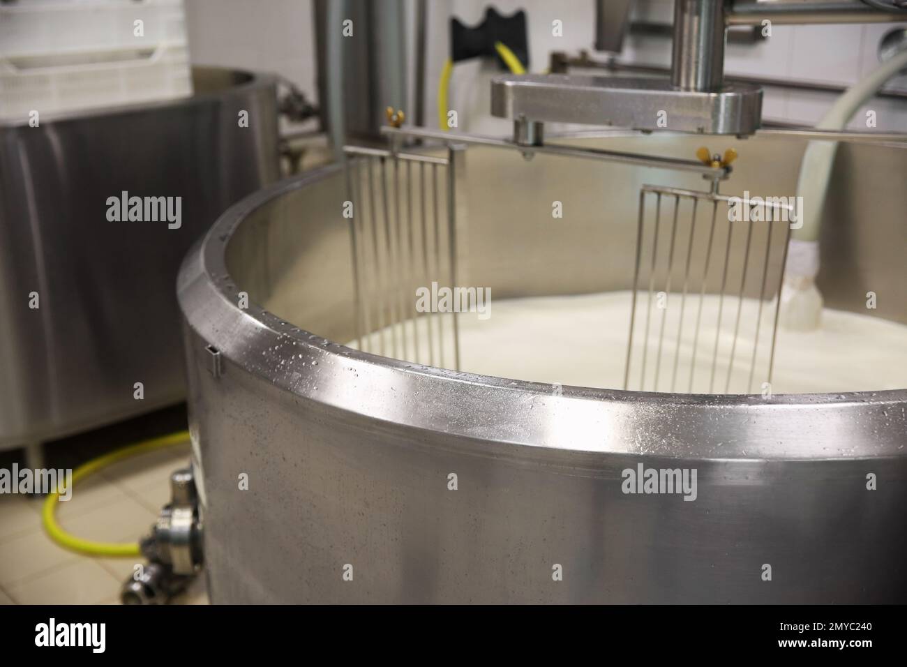 Pouring milk into curd preparation tank at cheese factory Stock Photo ...