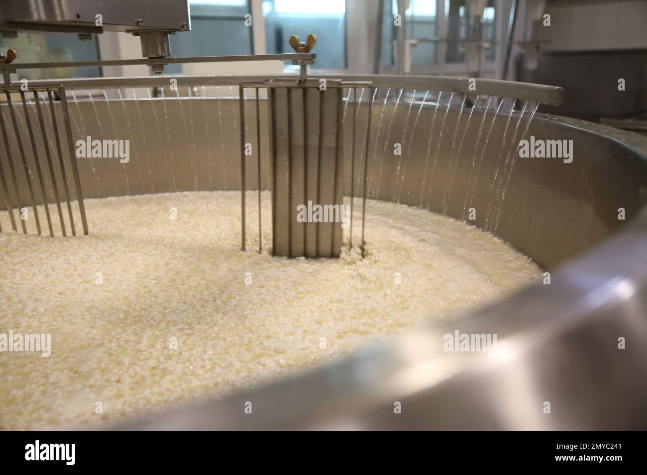 Adding whey in cheese hi-res stock photography and images - Alamy