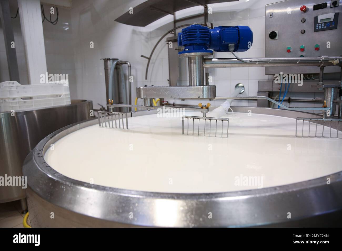 Milk in curd preparation tank at cheese factory Stock Photo - Alamy