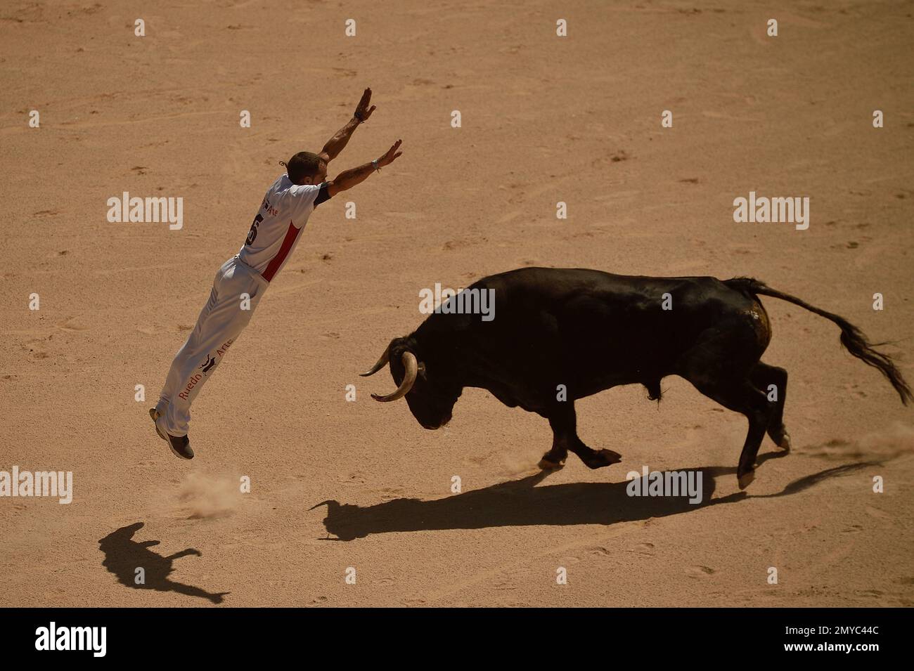 A ''Recortador'' jumps over bull in the bull ring during Recortadores ...