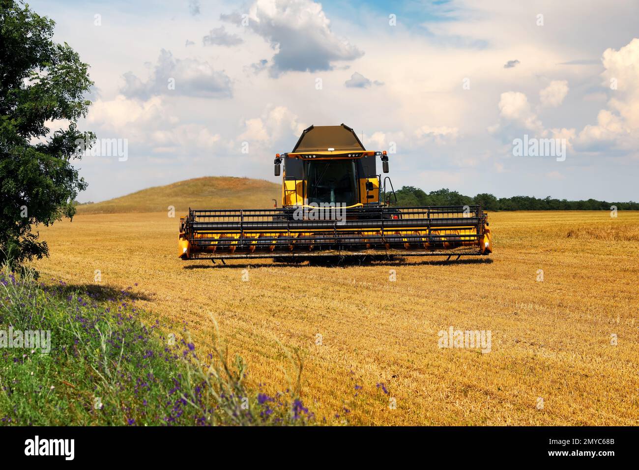 Modern combine harvester in field on sunny day. Agricultural machinery ...