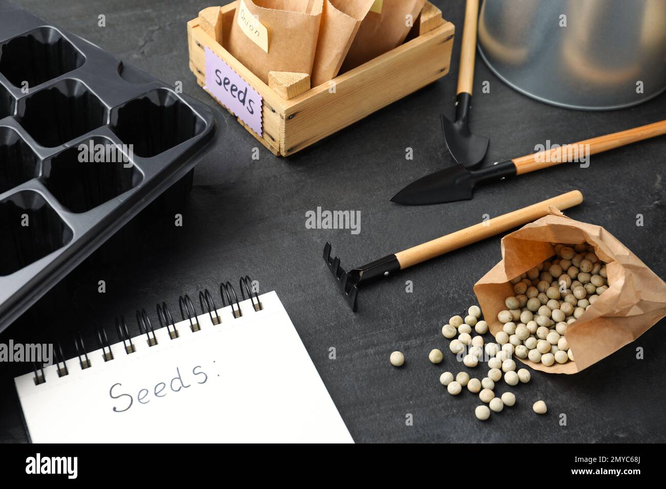 Raw dry peas, gardening tools and notebook on black table. Vegetable ...