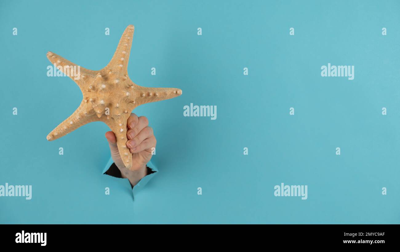 A hand with a starfish sticking out of a hole in a blue cardboard ...