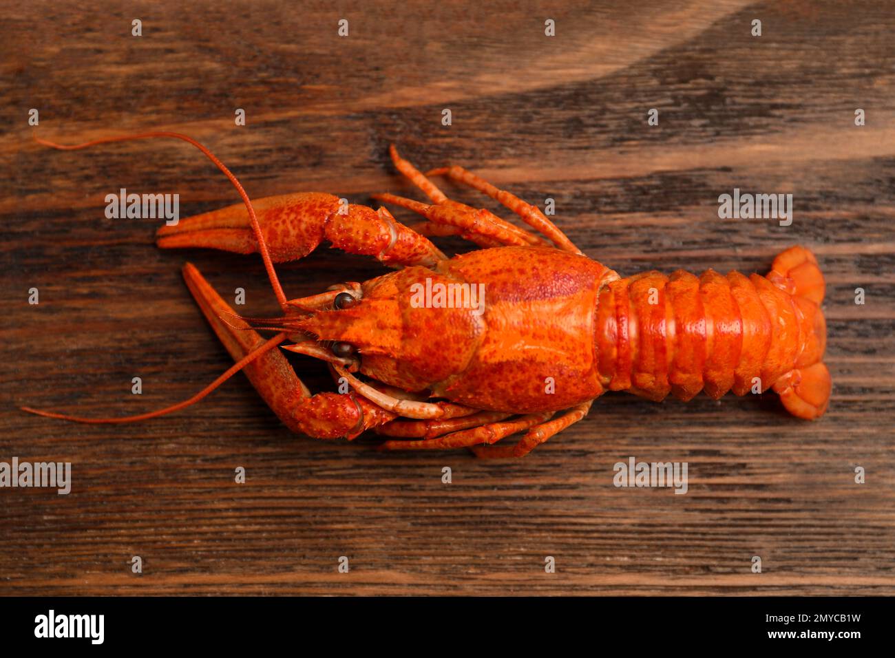 Delicious boiled crayfish on wooden table, top view Stock Photo - Alamy