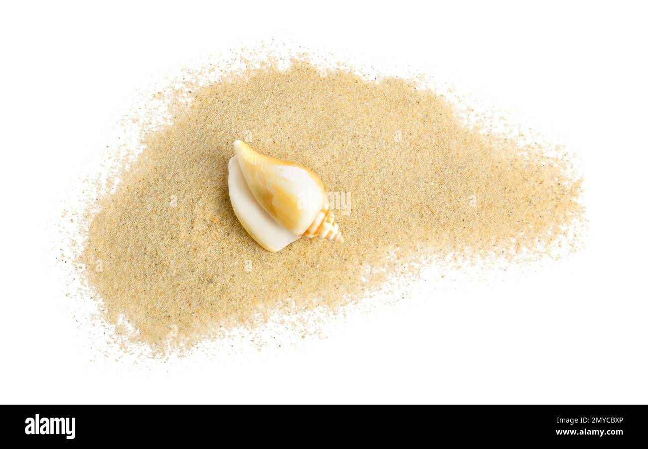 Beautiful sea shell and sand on white background, top view Stock Photo ...
