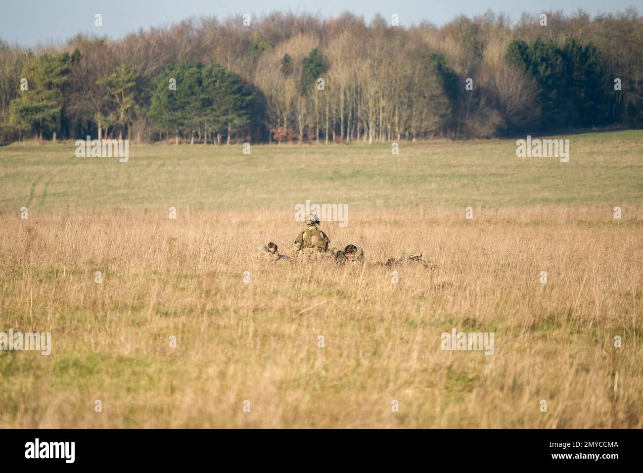 British army infantry soldiers take cover in a field, Wiltshire UK ...