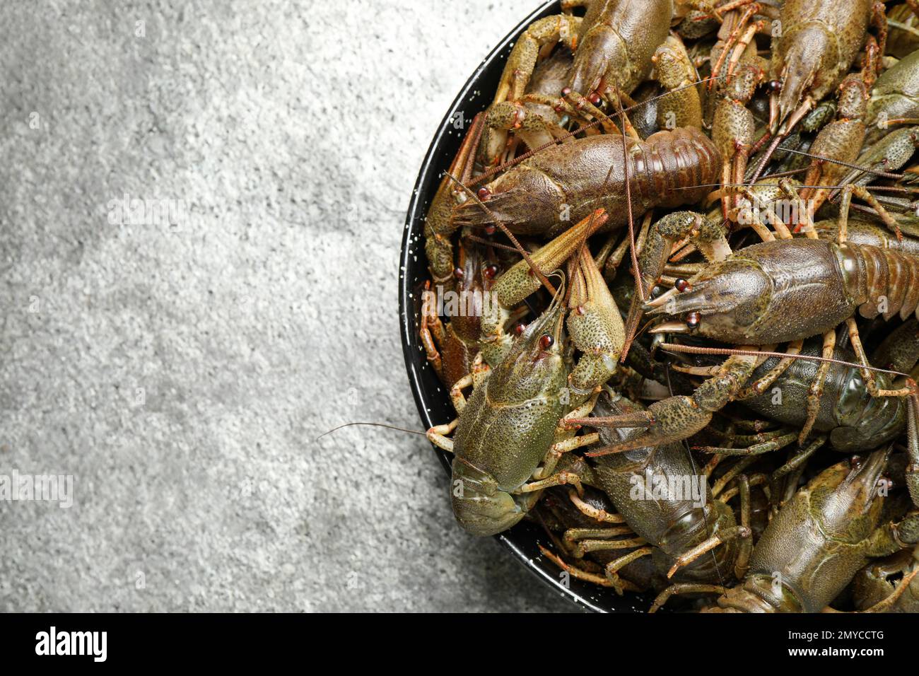 Fresh raw crayfishes on grey table, top view. Space for text Stock ...