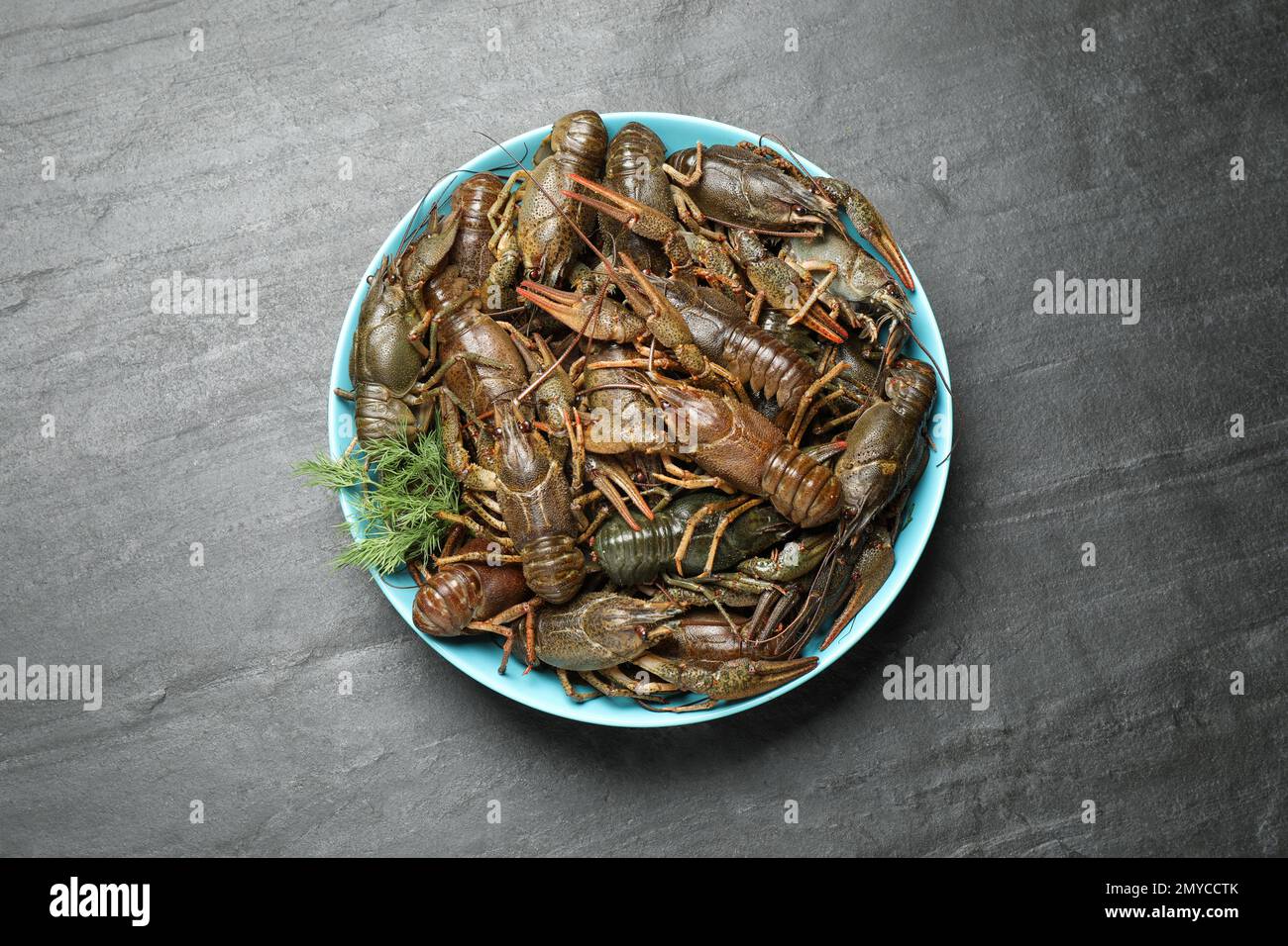 Fresh raw crayfishes with dill on black table, top view Stock Photo - Alamy