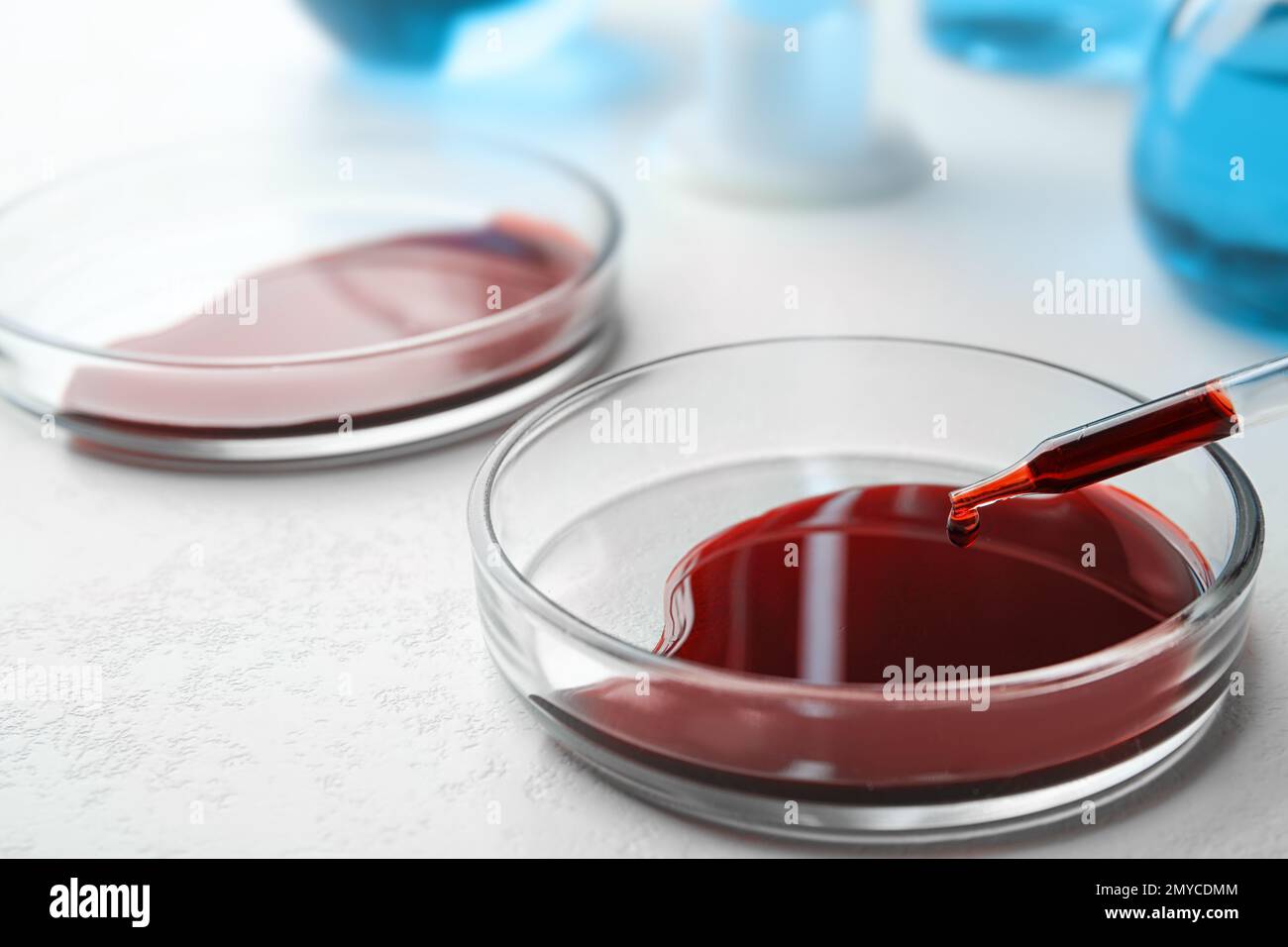 Dripping blood from pipette into Petri dish on table, closeup ...