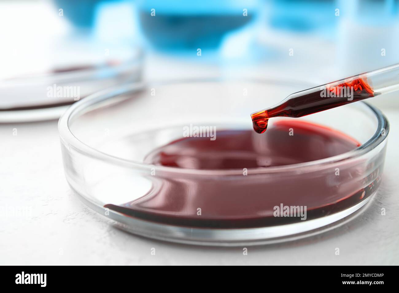 Dripping blood from pipette into Petri dish on table, closeup ...