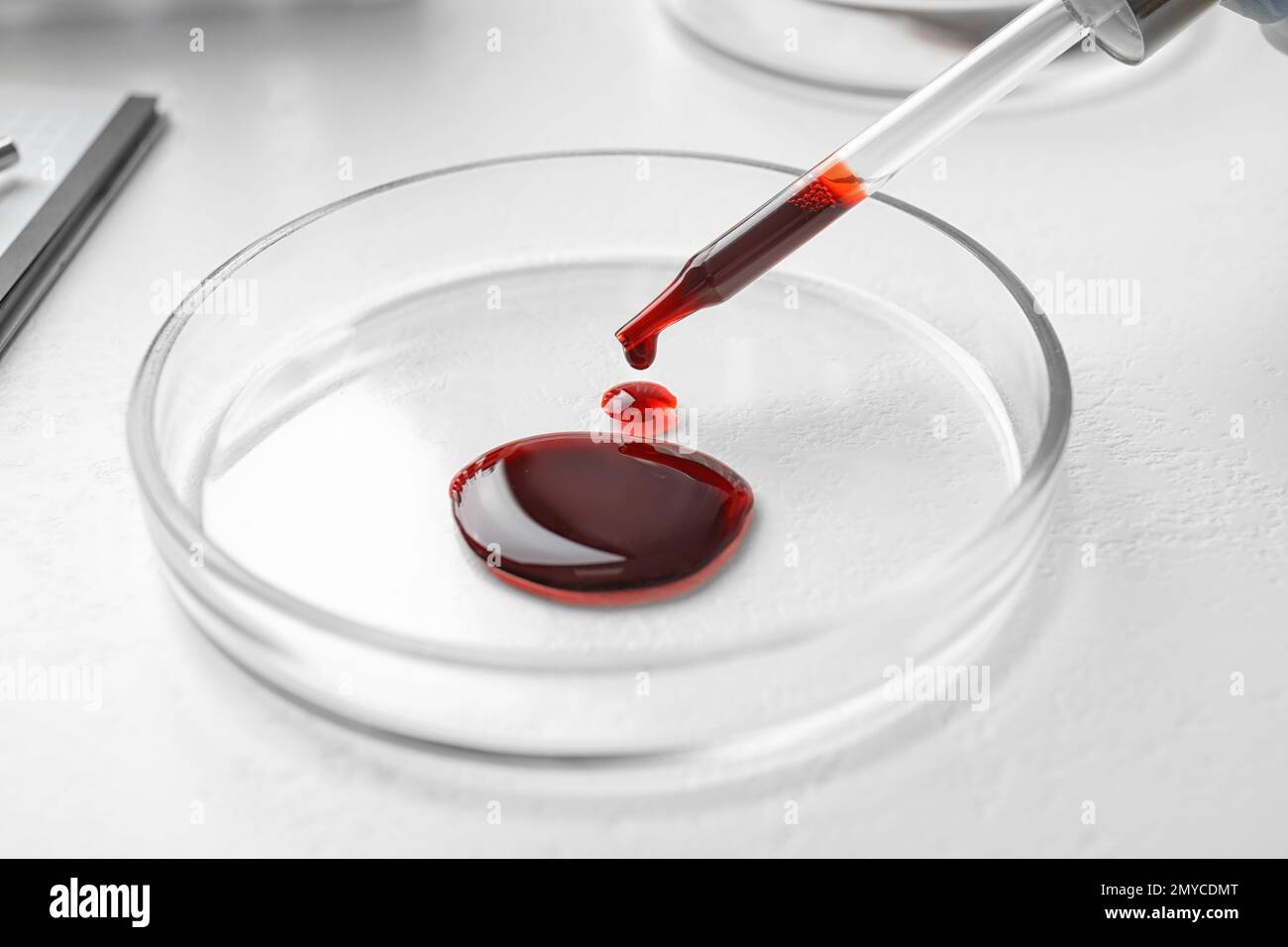 Dripping blood from pipette into Petri dish on table, closeup ...