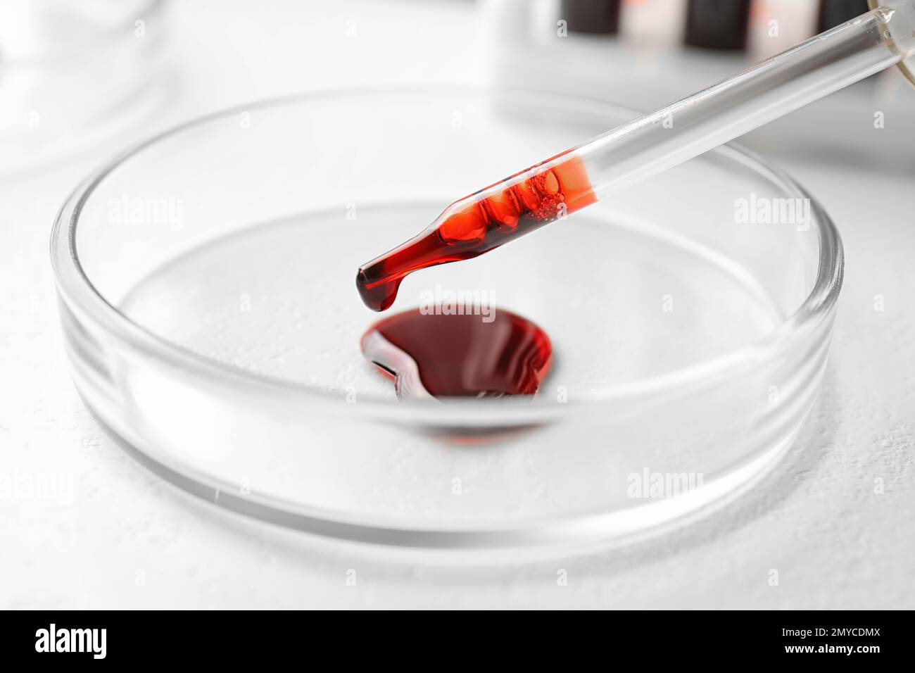 Dripping blood from pipette into Petri dish on table, closeup ...