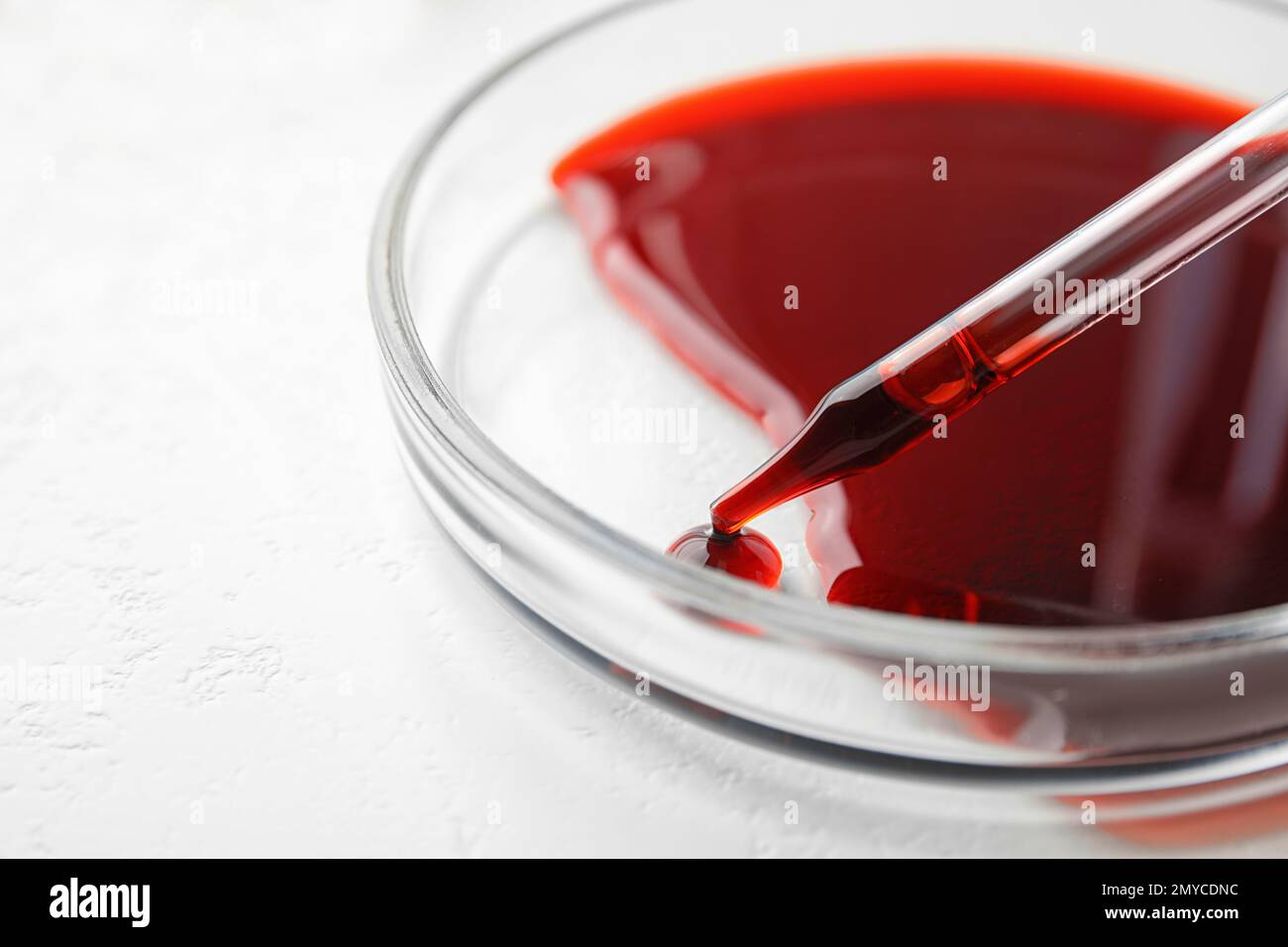 Dripping blood from pipette into Petri dish on table, closeup ...
