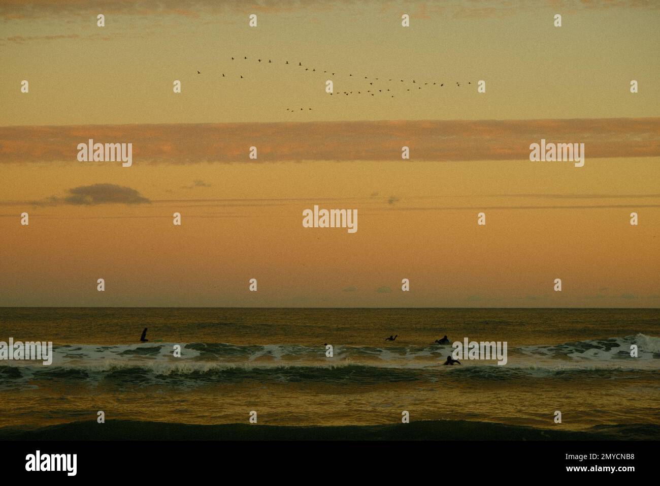 The only way some people will surf during the winter is due to "pier ...