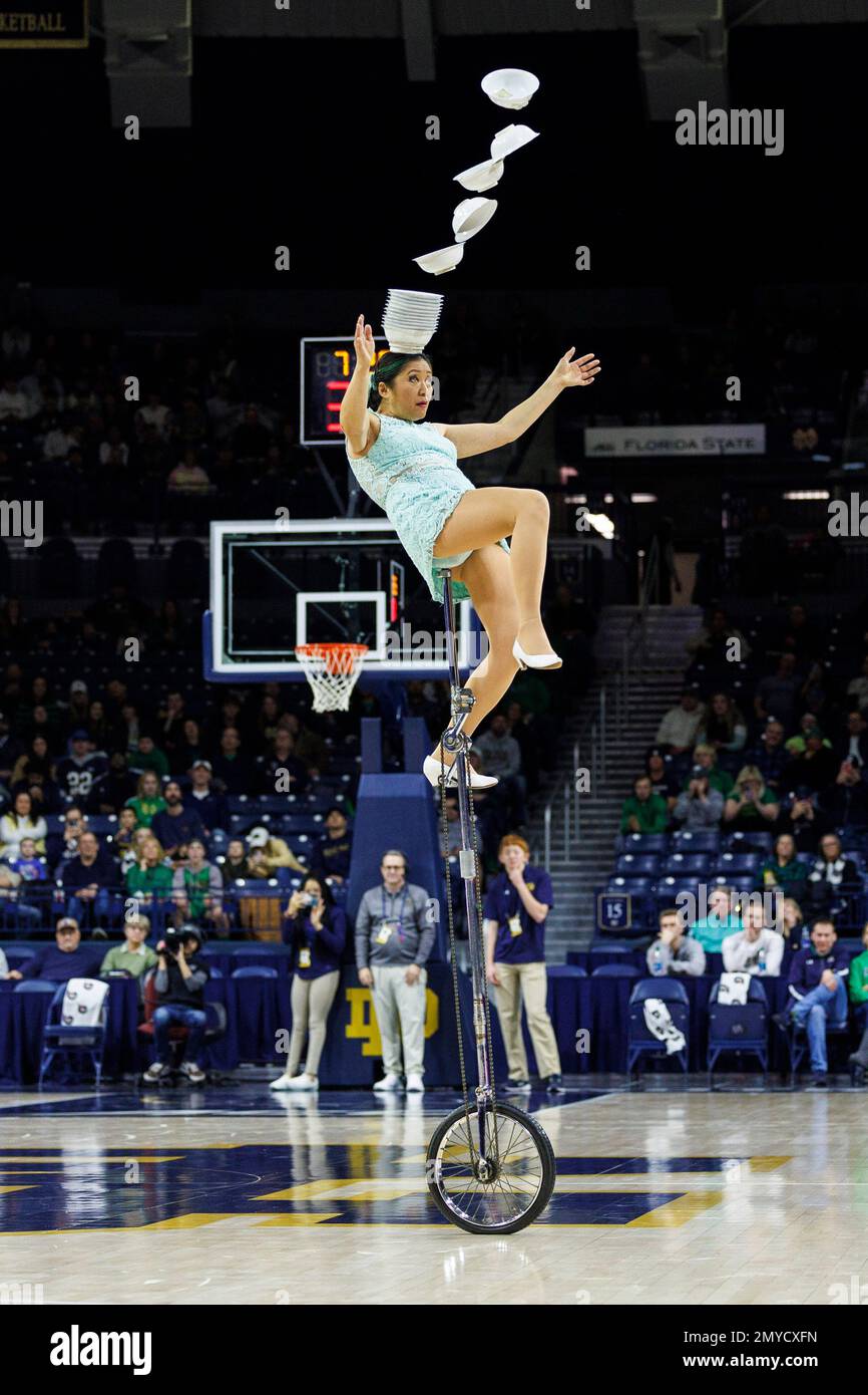 South Bend, Indiana, USA. 04th Feb, 2023. The Red Panda Acrobat ...