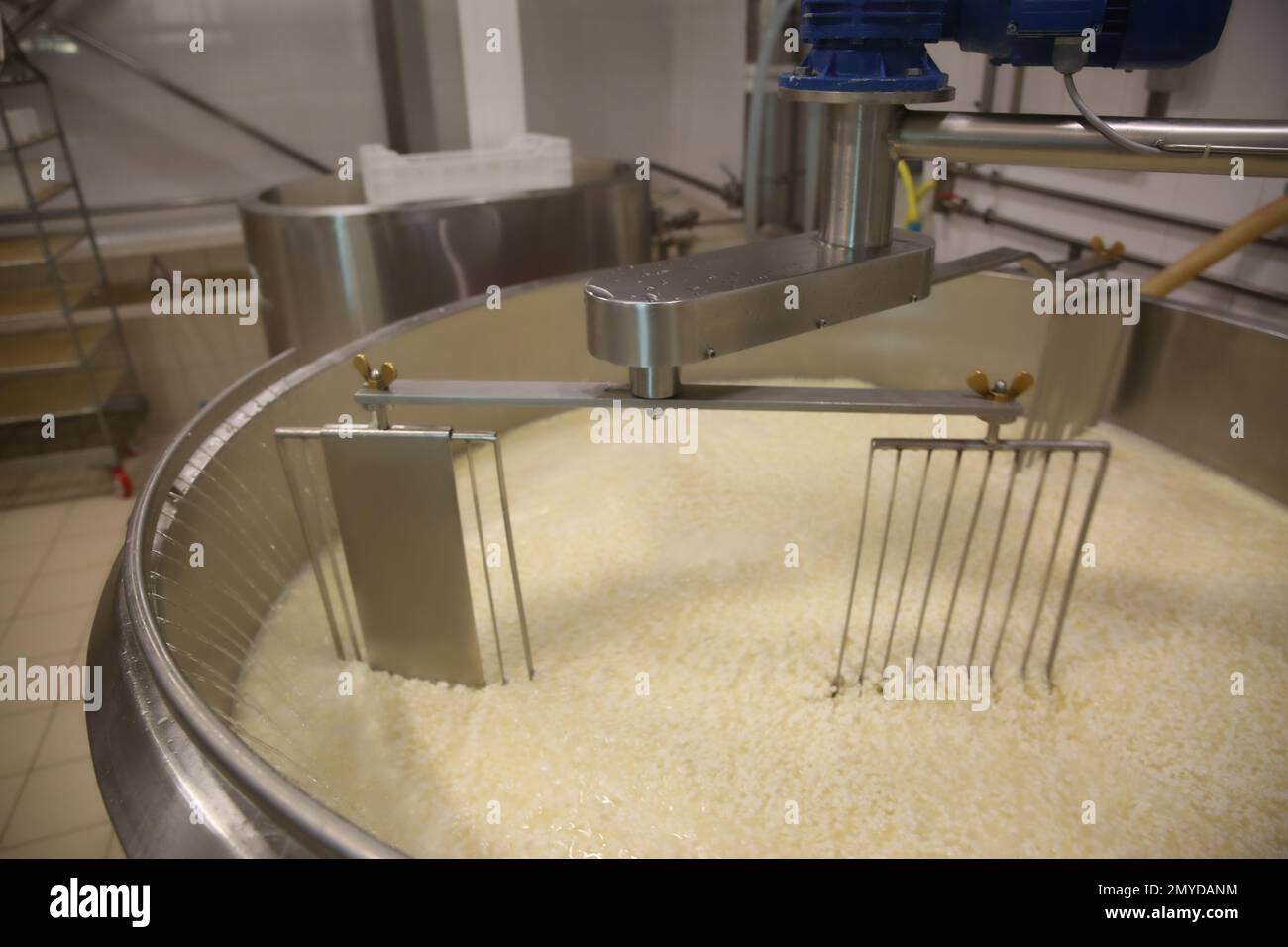 Adding water to curd and whey in tank at cheese factory Stock Photo - Alamy
