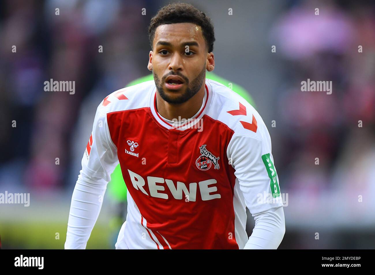 COLOGNE, GERMANY - 04.02.23: Linton Maina. The match of 1. Bundesliga 1 ...
