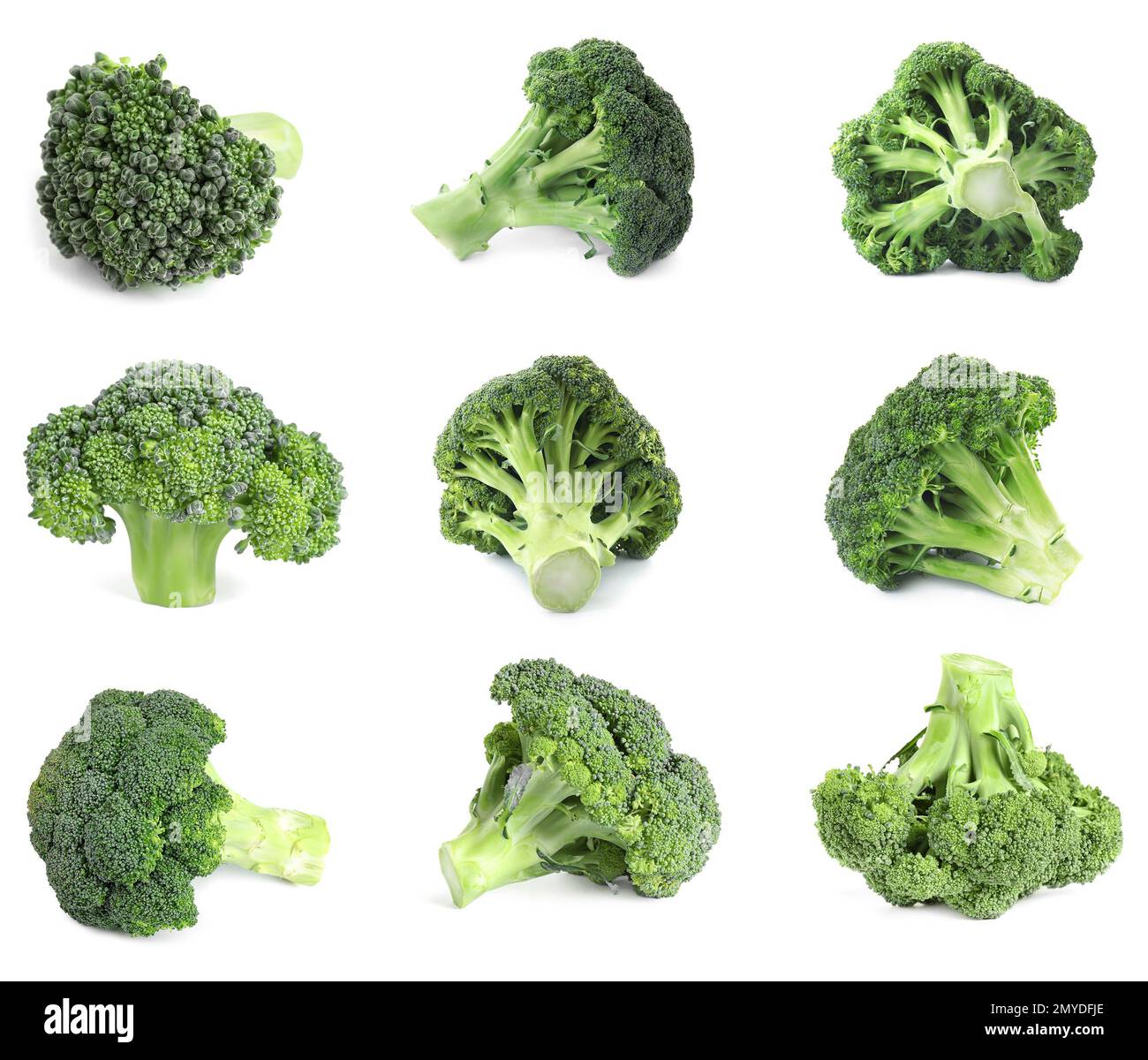 Set of fresh green broccoli on white background Stock Photo - Alamy