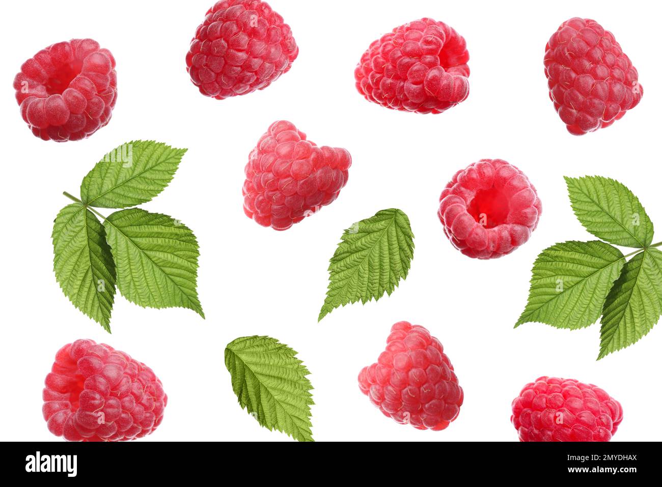 Fresh ripe raspberries falling with green leaves on white background ...