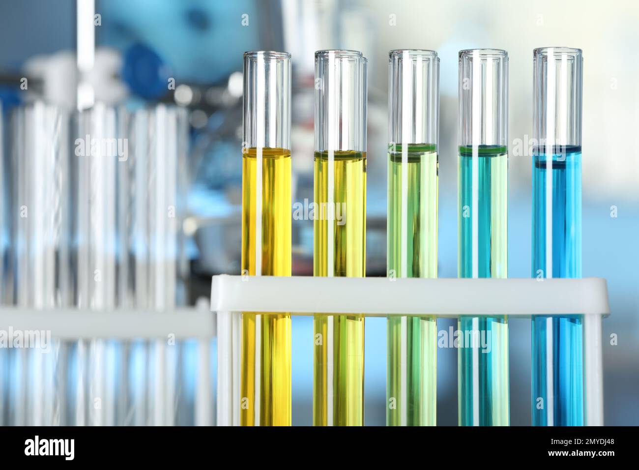 Test tubes with liquid samples in rack, closeup. Laboratory analysis ...