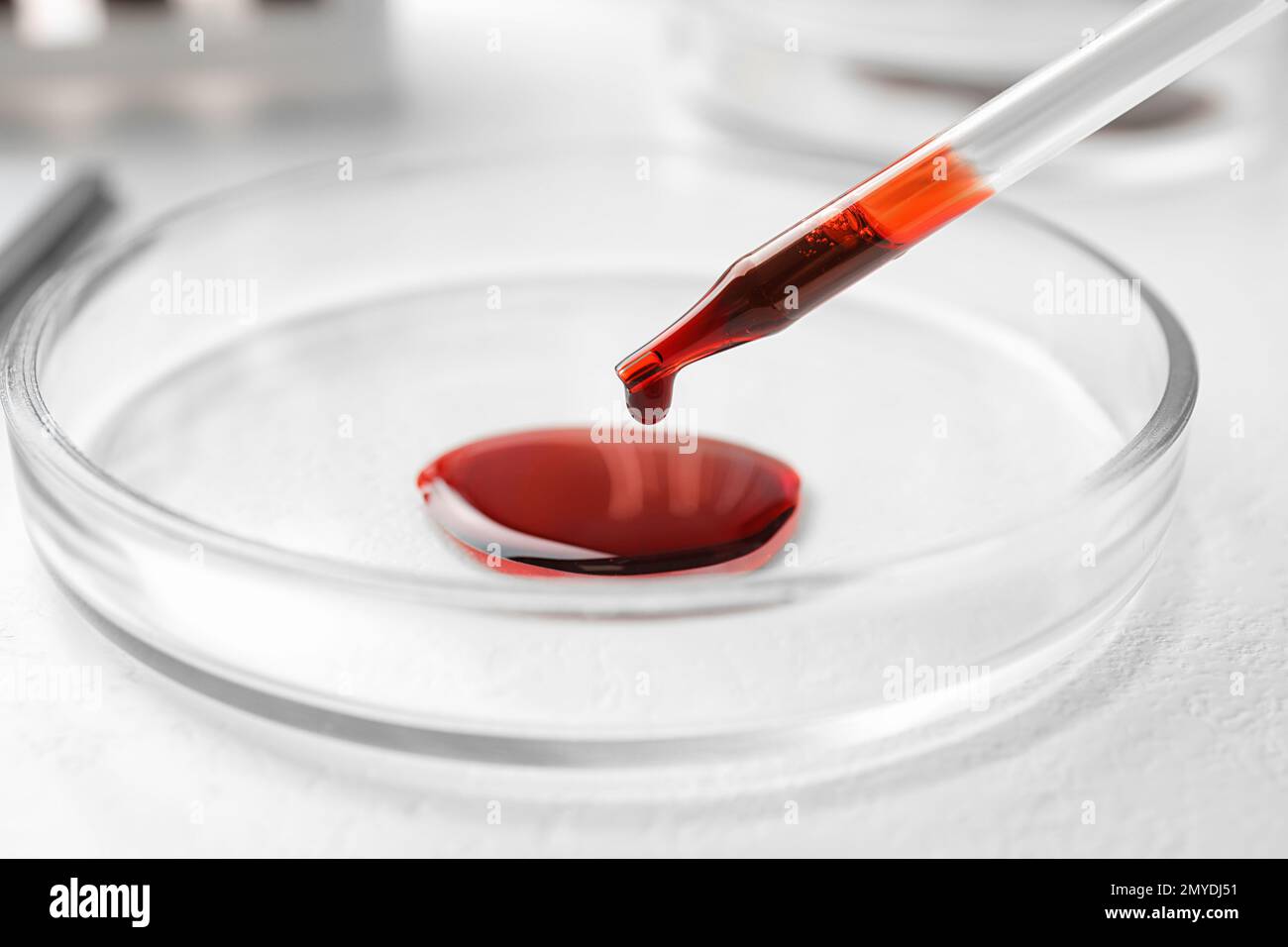 Dripping blood from pipette into Petri dish on table, closeup ...