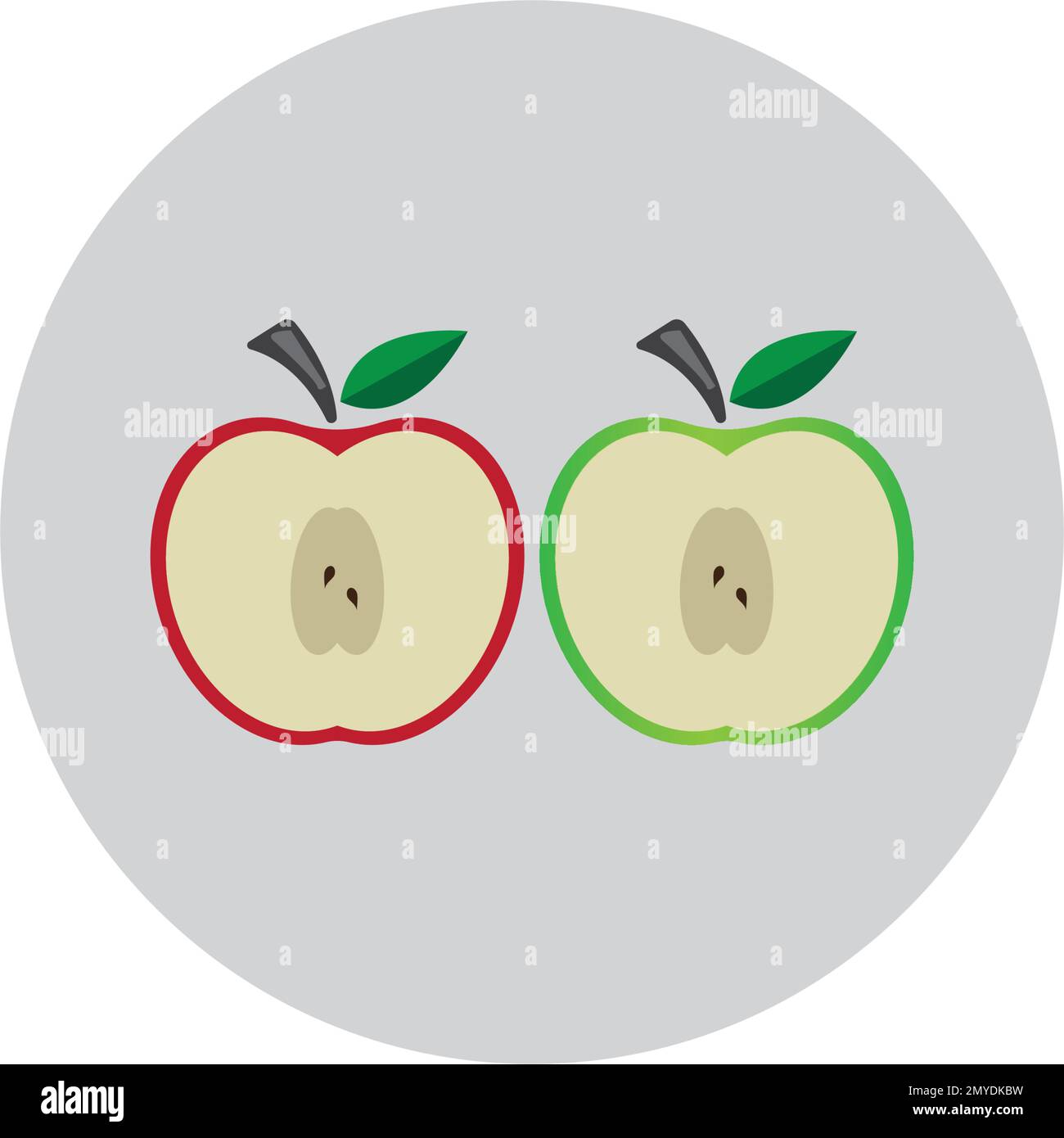 Red and green apples,Vector illustration,design Stock Vector Image ...
