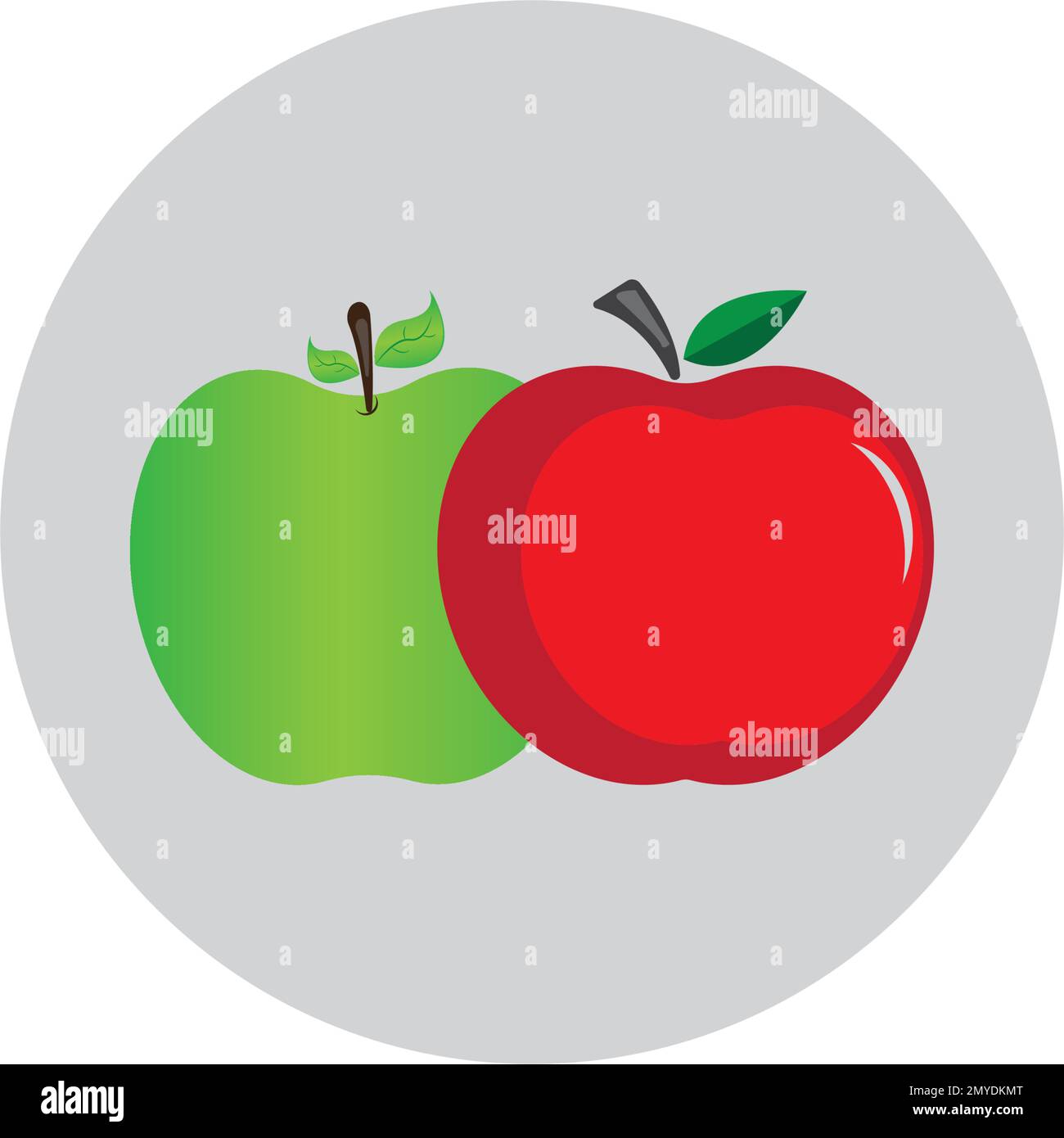 Red and green apples,Vector illustration,design Stock Vector Image ...