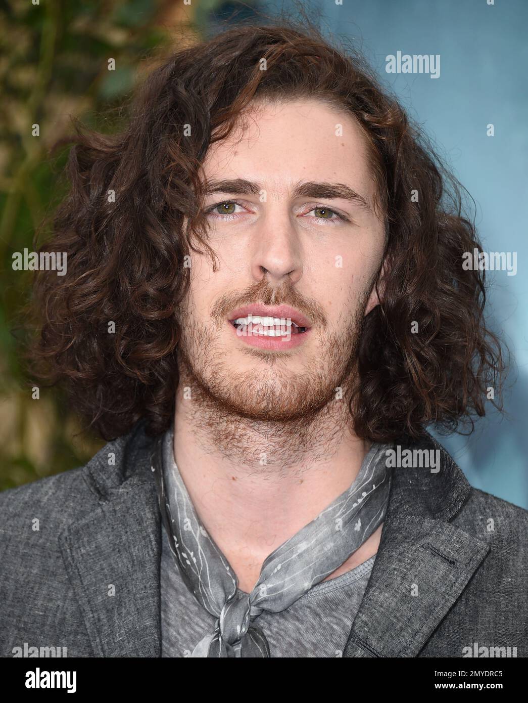 Hozier arrives at the Los Angeles premiere of "The Legend of Tarzan" at ...