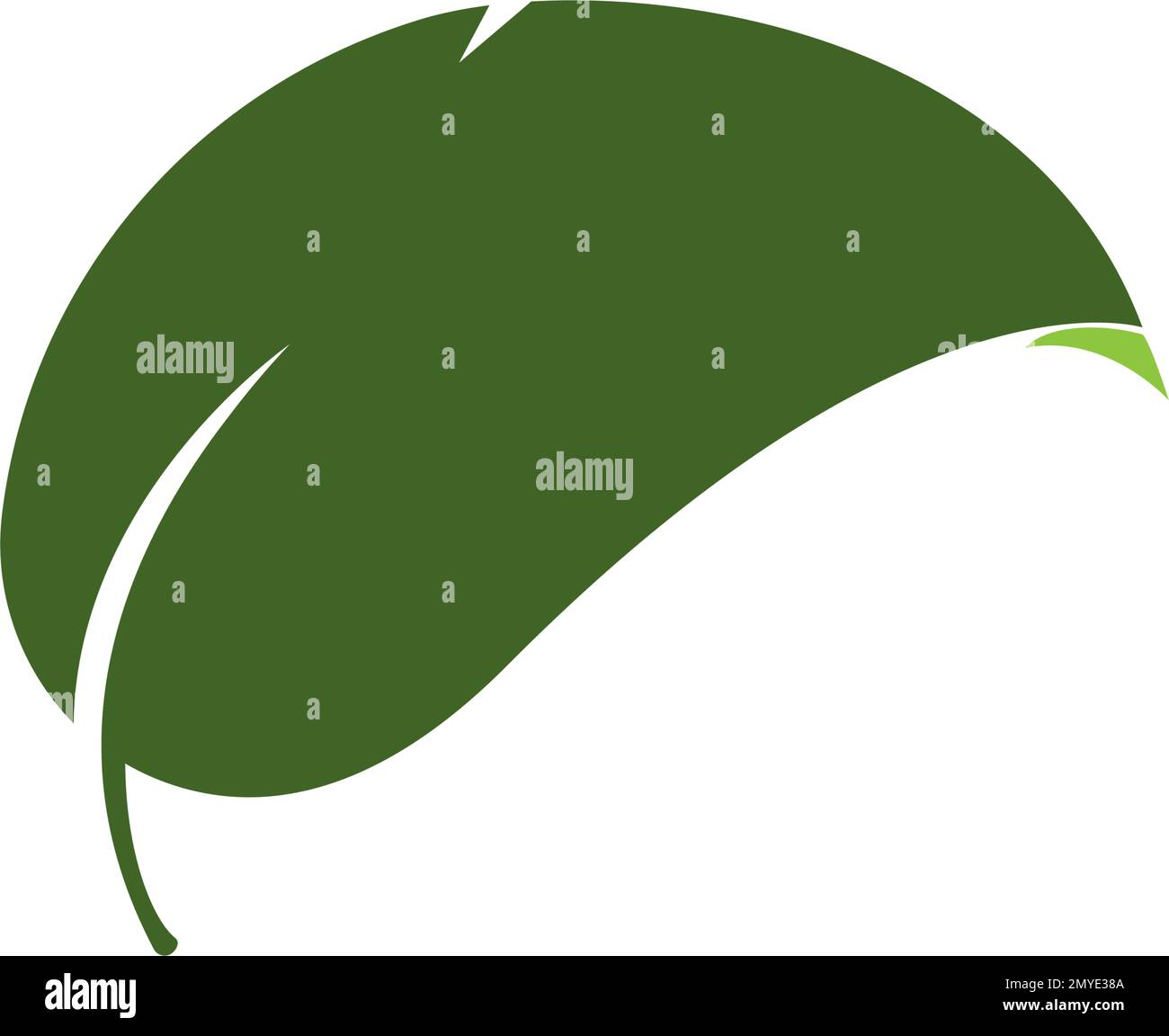 leaf logo vector template design illustration Stock Vector Image & Art ...